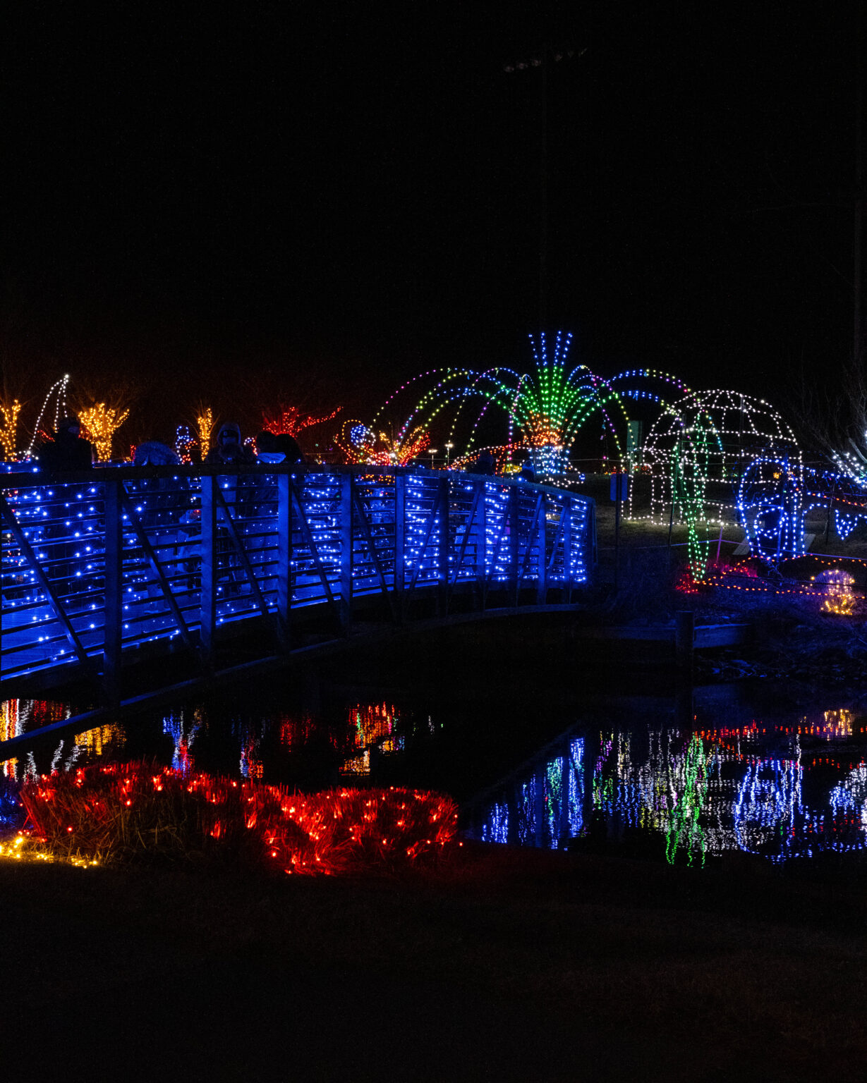 Your Guide To Winterfest of Lights in Ocean City, Maryland - OCMDHotels